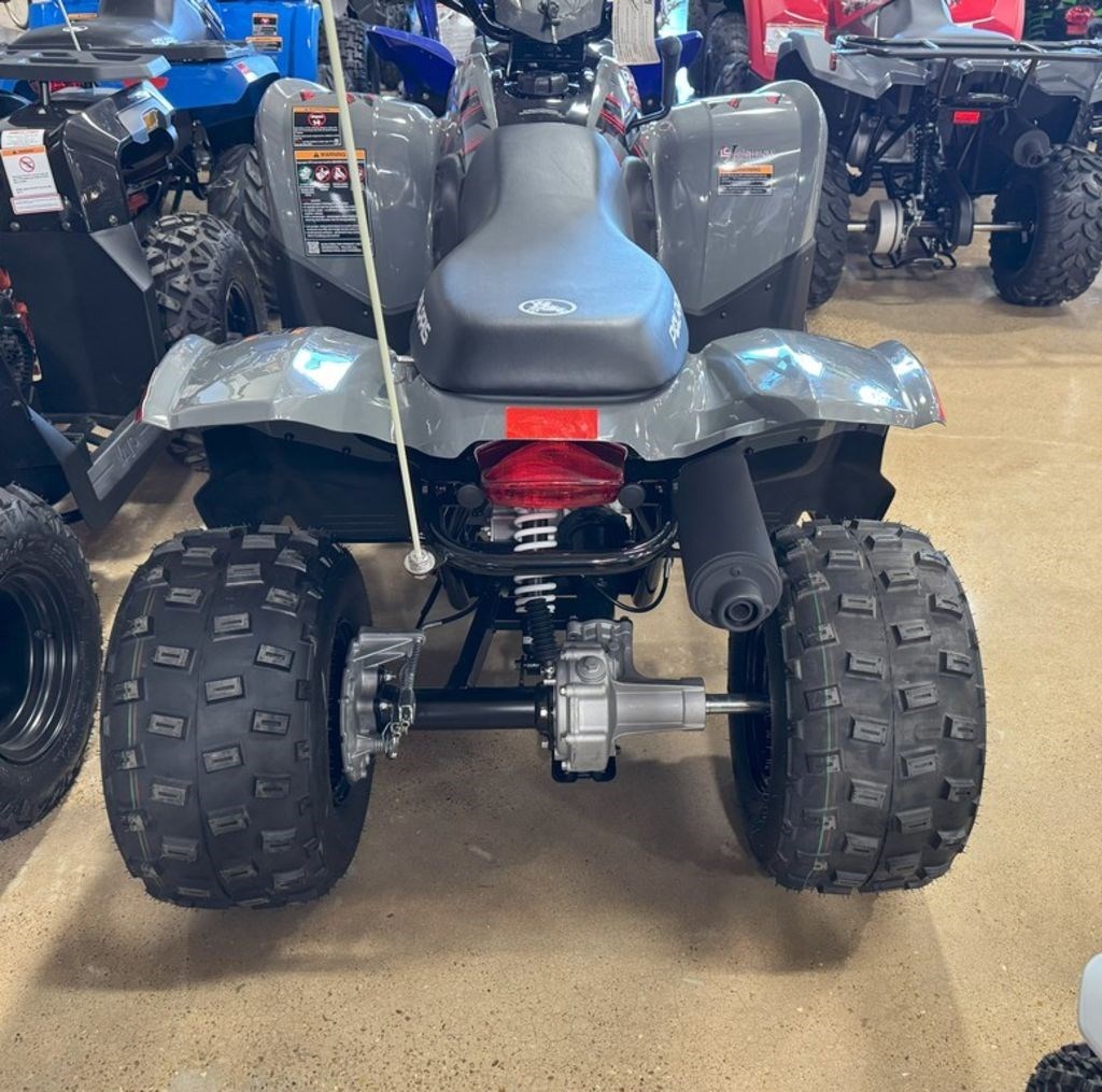 2024 Polaris Phoenix 200 ATV For Sale in Alexandria Louisiana